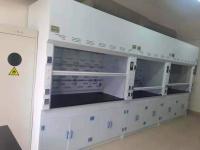 China PP Laminar Flow Fume Cupboard 1200mm Width Activated Carbon Filter Chemical Fume Hood ISO9001 CE for sale