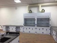 China PP Laminar Flow Fume Cupboard 1200mm Width Activated Carbon Filter Chemical Fume Hood ISO9001 CE for sale