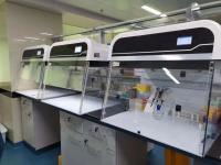 China Ductless Fume Hood Grade 1 Laminar Flow Air Cabinet 110V 220V Chemical Fume Cupboard for sale