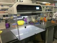 China Ductless Fume Hood Grade 1 Laminar Flow Air Cabinet 110V 220V Chemical Fume Cupboard for sale