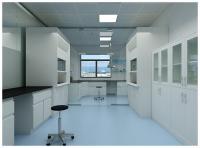 China Laboratory Steel Fume Hood 1200mm Fireproof Anti Scratch Acid Resistant for Chemistry Lab for sale