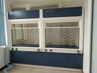 China Chemical Laboratory Acid Alkali Resistant Fume Hood 1200mm 1500mm 1800mm Customizable for sale