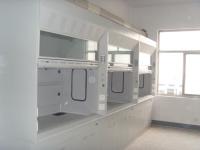 China Chemical Laboratory Acid Alkali Resistant Fume Hood 1200mm 1500mm 1800mm Customizable for sale