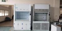 China Perchloric Acid Fume Hood HEPA Filter 99.999% Efficiency 1200mm Fireproof Lab Fume Hood for sale