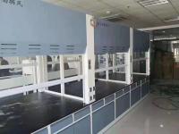 China Perchloric Acid Fume Hood HEPA Filter 99.999% Efficiency 1200mm Fireproof Lab Fume Hood for sale