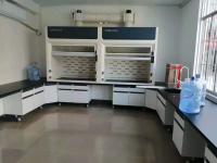 China Custom OEM Lab Chemical Fume Hood Floor Mounted 1200mm 1500mm 1800mm for sale