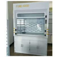 China Laboratory Laminar Flow Fume Hood 1200mm Solid Physiochemical Board FH1200 for sale