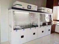 China Ductless Filtered Laboratory Fume Hood 800mm 110V-240V for Toxic Gas Removal for sale