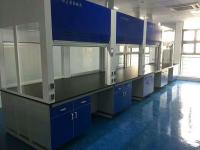 China Galvanized Steel Chemical Fume Hood 1200mm 850mm 2350mm Lab Exhaust Ventilation for sale