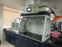 China Ductless Chemical Laboratory Fume Hood 800mm HEPA Organic Inorganic Filter 110V-240V for sale