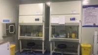 China Class II BSC-1000 Biosafety Cabinet HEPA Filter 0.33m/s Downflow 220V 50Hz for sale