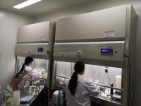 China Class II BSC-1000 Biosafety Cabinet HEPA Filter 0.33m/s Downflow 220V 50Hz for sale