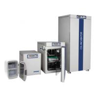China CO2 Incubator 80L 160L for Bacterial Cell Culture with PID Control and UV Sterilization for sale