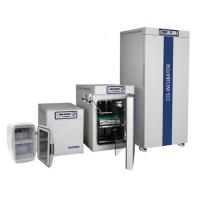 China CO2 Incubator 80L 160L for Bacterial Cell Culture with PID Control and UV Sterilization for sale