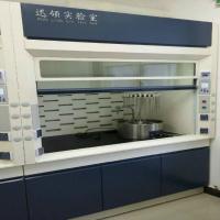 China Vertical Fume Hood for Chemical Laboratory 1200mm 850mm 2350mm Standard Equipment for sale