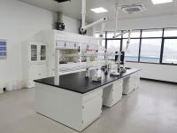 China Durable Chemistry Workbench for Physics Science Biology Study in Hospital Laboratory for sale