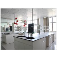 China Customized Thickness Chemical Lab Bench Top for Professional Laboratory Workstations for sale