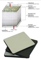 China Chemical Resistant Phenolic Resin Board 12.7mm for Laboratory Furniture Black Top for sale