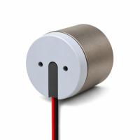 China Long Stroke Compact Voice Coil Motor 12N 12mm Travel for Precision Automation for sale