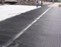 China 30mm-60mm HDPE Storage Drainage Board for Greenroof Membrane in Black and Green Color for sale