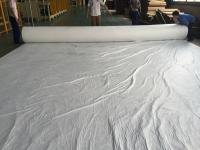 China Modern Design Non-Woven Geotextiles for Slope Protection in Landfill Applications for sale
