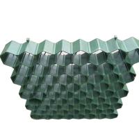 China Geocells and Honeycomb HDPE Grass Grid for Paver The Perfect Park Combination for sale