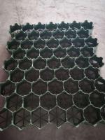 China Geocells and Honeycomb HDPE Grass Grid for Paver The Perfect Park Combination for sale