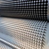 China HDPE Greenroof Drainage Membrane 12mm Thickness 2m Dimple Waterproof and Storage Board for sale