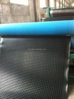China HDPE Greenroof Drainage Membrane 12mm Thickness 2m Dimple Waterproof and Storage Board for sale