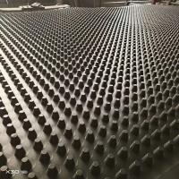 China PE 2m Double Side HDPE Greenroof Dimple Mat Drainage Boards for Optimal Water Control for sale