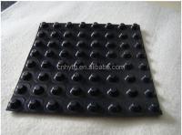 China HDPE Greenroof Drainage Membrane 12mm Thickness 2m Dimple Waterproof and Storage Board for sale