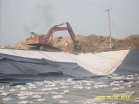 China 0.1-3.0 Thickness HDPE Geocomposite Waterproof Membrane with Nonwoven Geotextile for sale