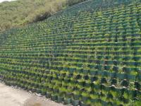 China s Top HDPE Honeycomb Geocell Your Partner for Slope Protection and Soil Stabilization for sale