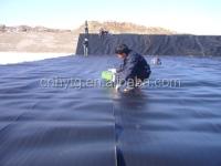 China 0.1mm-3.0mm Thickness Blue HDPE Waterproof Geomembrane for Long-Lasting Landfills for sale