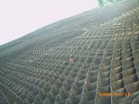 China H-50mm HDPE Geocell for Road Construction and Gravel Stabilization ISO9001 Certified for sale