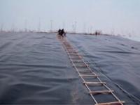 China Customized Fish Growing Container Tank Liner Made of HDPE Material with UV Protection for sale
