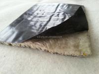 China Waterproof Bentonite Pad with PE Coated Geosynthetic Clay Liners GCL and HDPE Membrane for sale