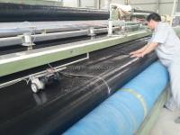 China Waterproof Bentonite Pad with PE Coated Geosynthetic Clay Liners GCL and HDPE Membrane for sale