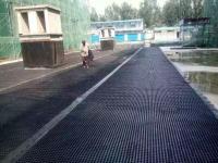 China 425/505/525/540mm Length Geocomposite Dimple Mat Drainage Board for Waterproofing for sale