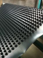China Customized 8-30mm HDPE Plastic Storage Drainage Board for Greenroof Membrane for sale