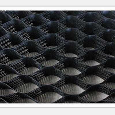 China HDPE Textured Geocell Ground Grid Paver 100/150mm Height for Modern Road Construction for sale