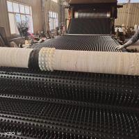 China Revolutionize Your Water Management System with 8mm-20mm Dimple Mat Drainage Board for sale