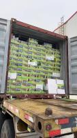 China 30*50 Size Swelling Self Sticky Waterstop Strips for Concrete Joints Bentonite Based for sale