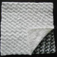 China High Compressive Strength Polyethylene Geotextile and Geonet 3D Composite Drainage Net for sale