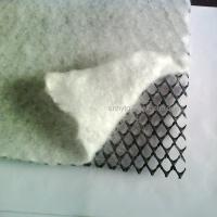 China High Compressive Strength Polyethylene Geotextile and Geonet 3D Composite Drainage Net for sale