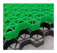 China HDPE Grass Plastic Driveway Gravel Grid for High Compressive Strength Turf Paving for sale