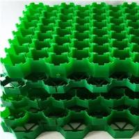 China HDPE Grass Plastic Driveway Gravel Grid for High Compressive Strength Turf Paving for sale