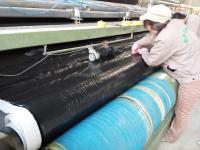 China Hotel Swellable Bentofix Bentonite Waterstop Liner with HDPE Geomembrane for sale
