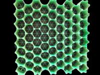 China Protect Turf and Create a Green Paradise with HDPE Honeycomb Plastic Grass Paver Grid for sale