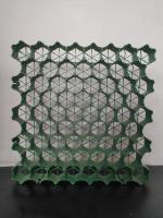 China Protect Turf and Create a Green Paradise with HDPE Honeycomb Plastic Grass Paver Grid for sale